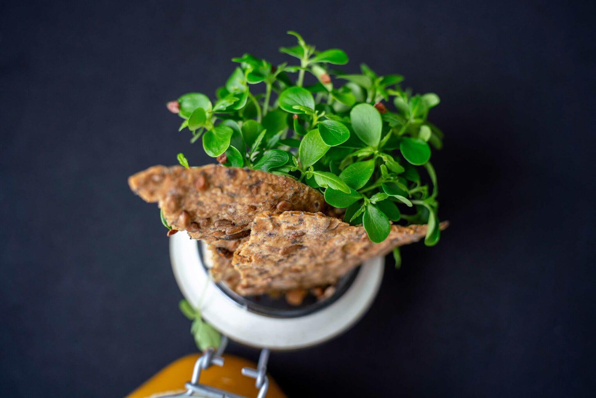 Rabo Investments - Tomorrow’s Investor